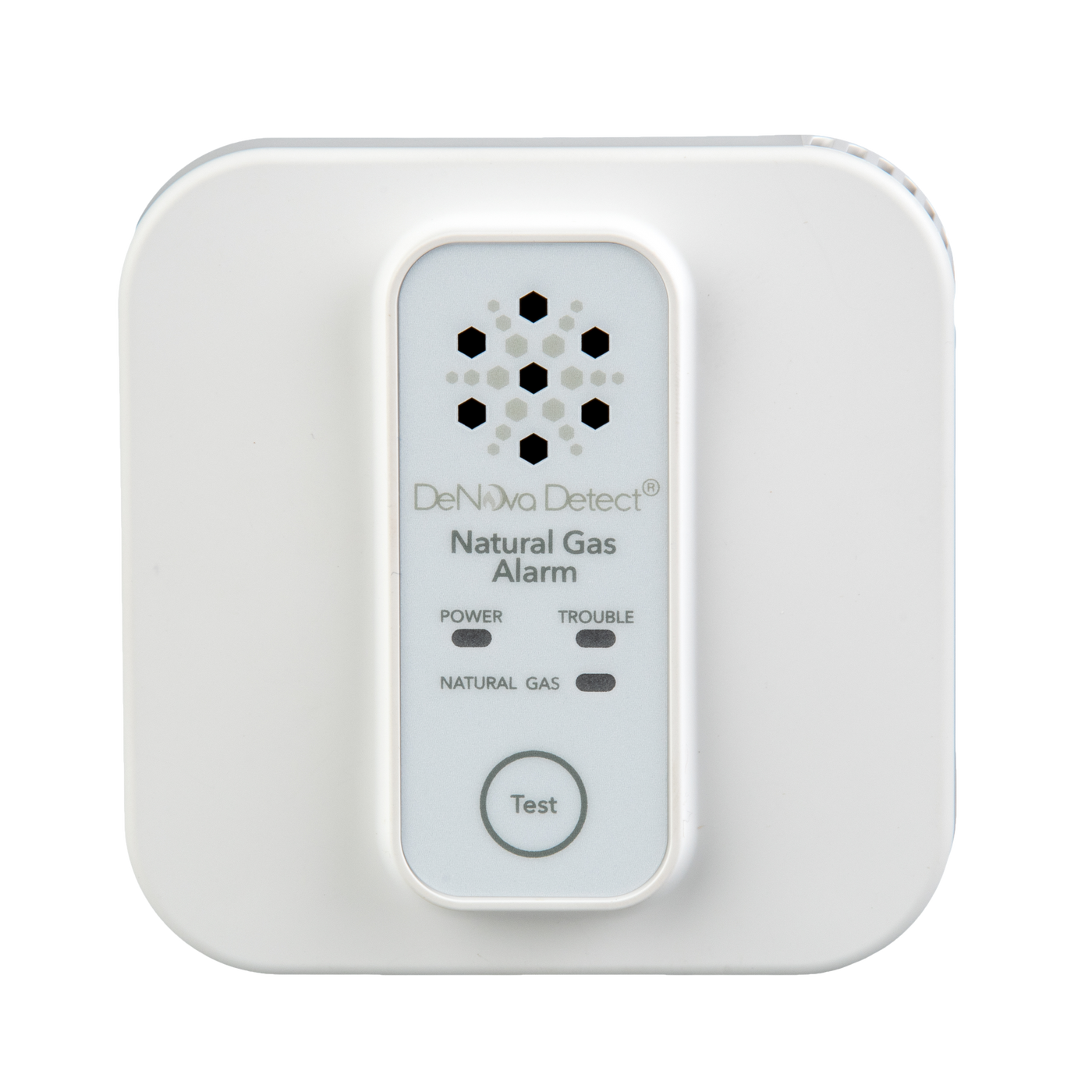 10-Year Battery-Powered Natural Gas Alarm