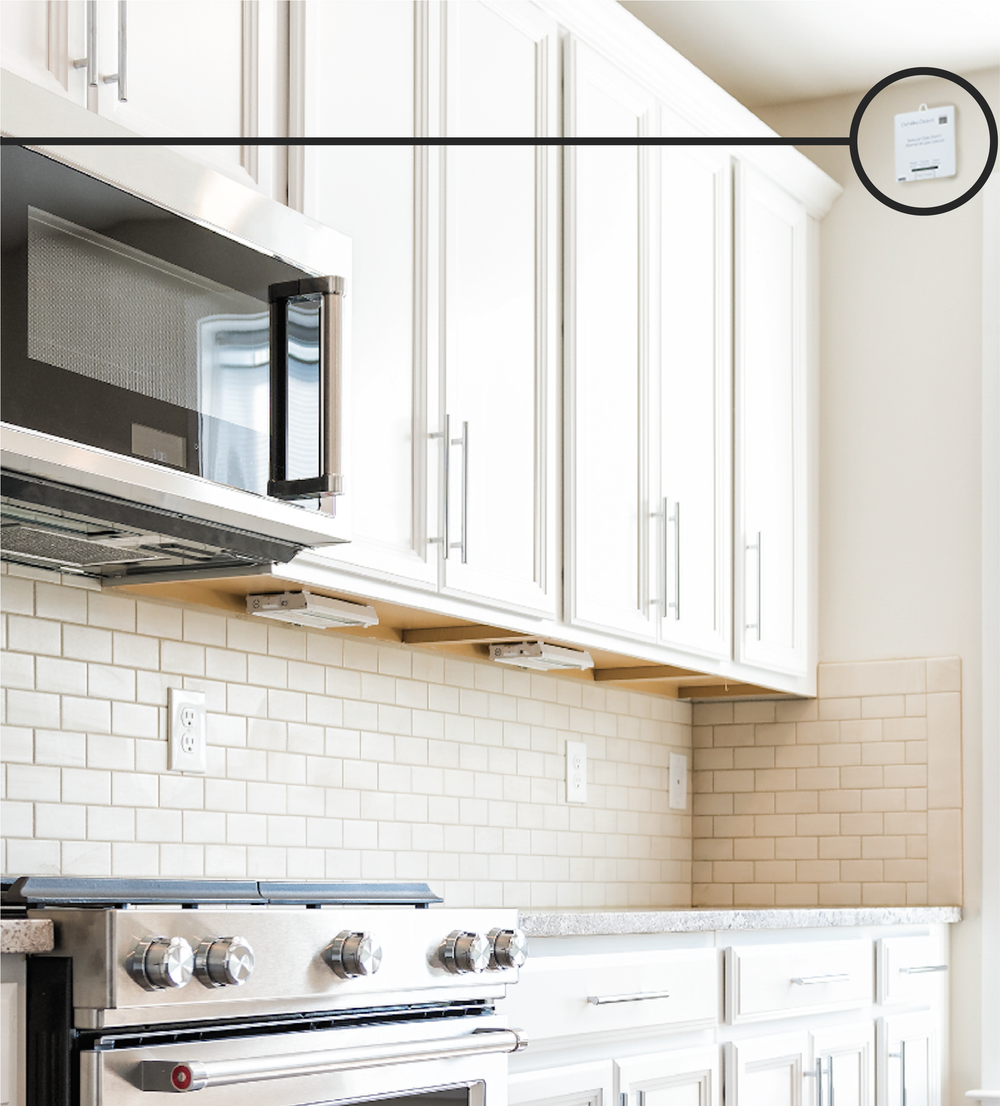 6-Year Battery-Powered Natural Gas Alarm Installation & Support ...
