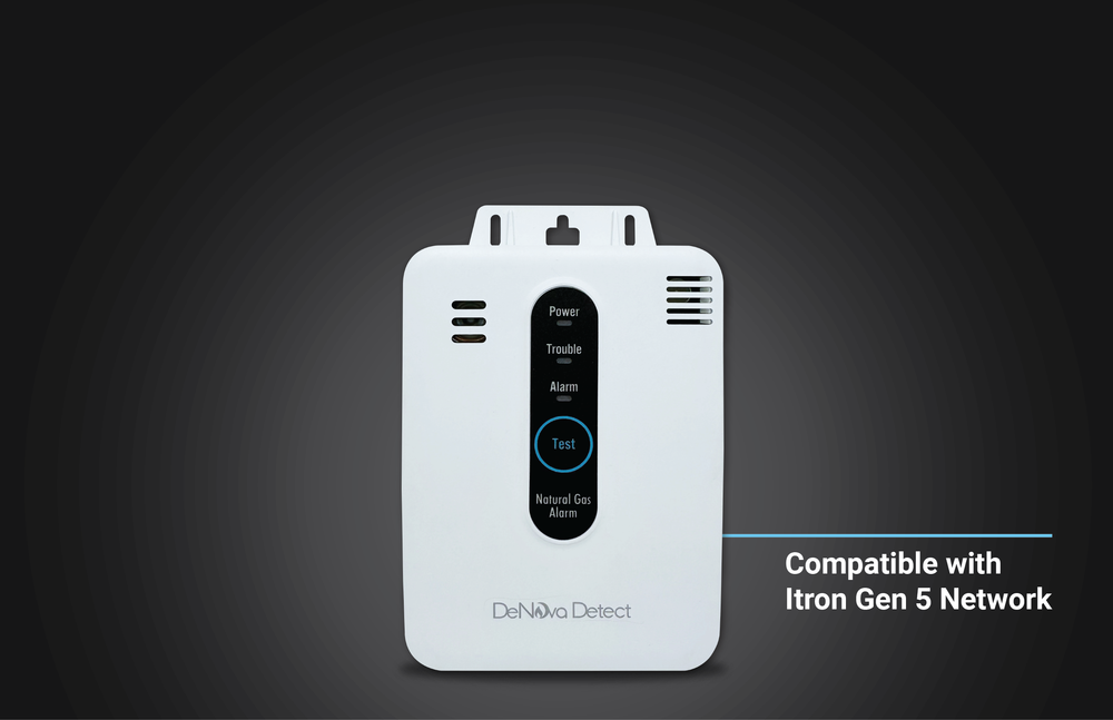 10-Year Battery-Powered Natural Gas Alarm - 810NIT | DeNova Detect