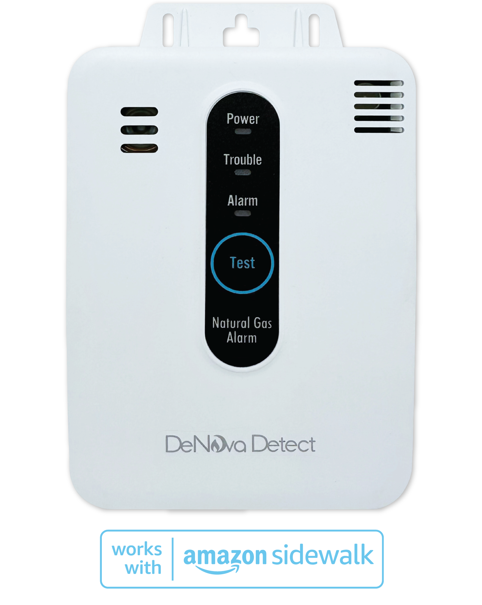 Battery-Operated Natural Gas Alarms for Home Safety | DeNova Detect