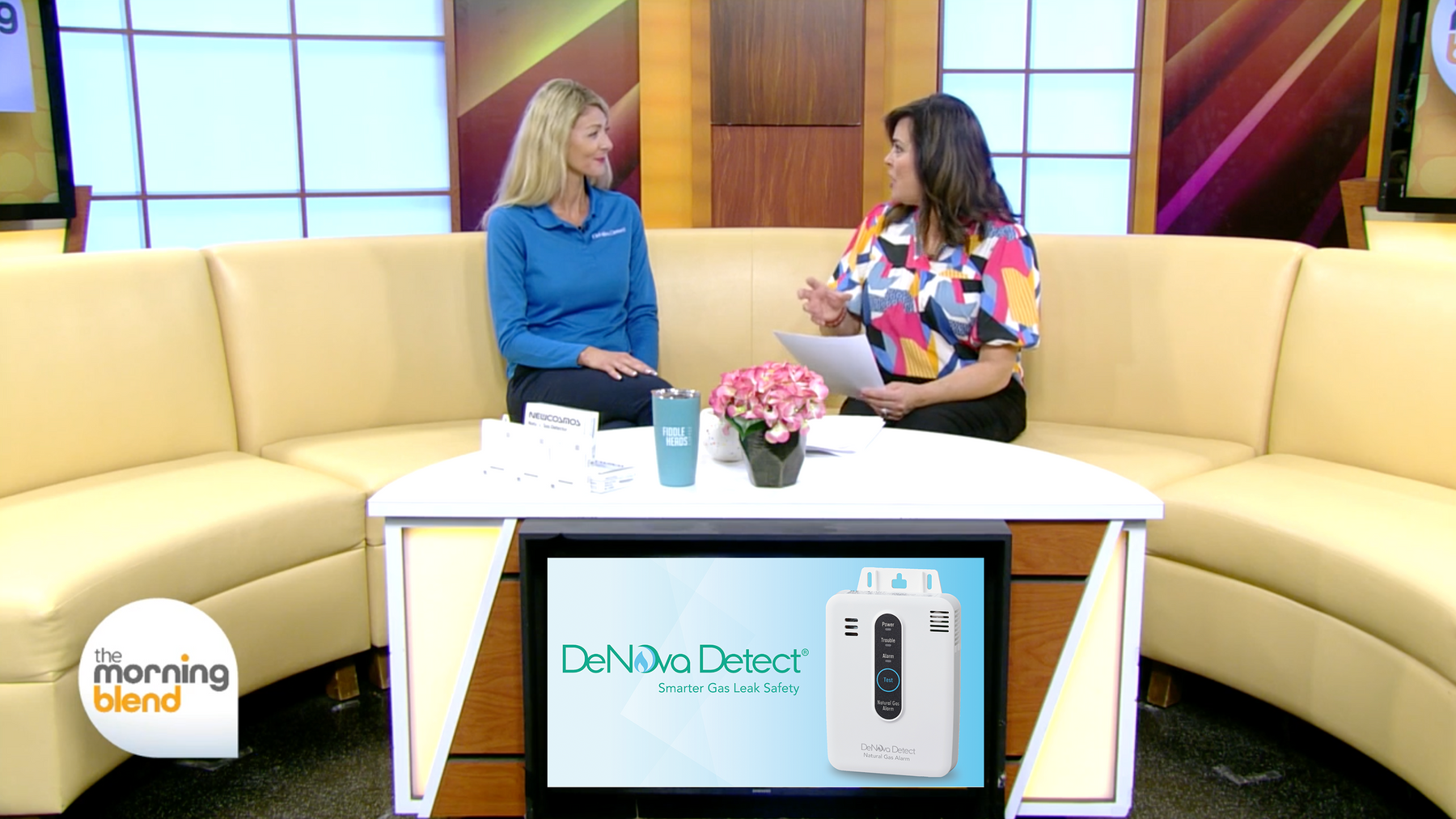 DeNova Detect | Natural Gas Detectors for Smarter Gas Leak Safety