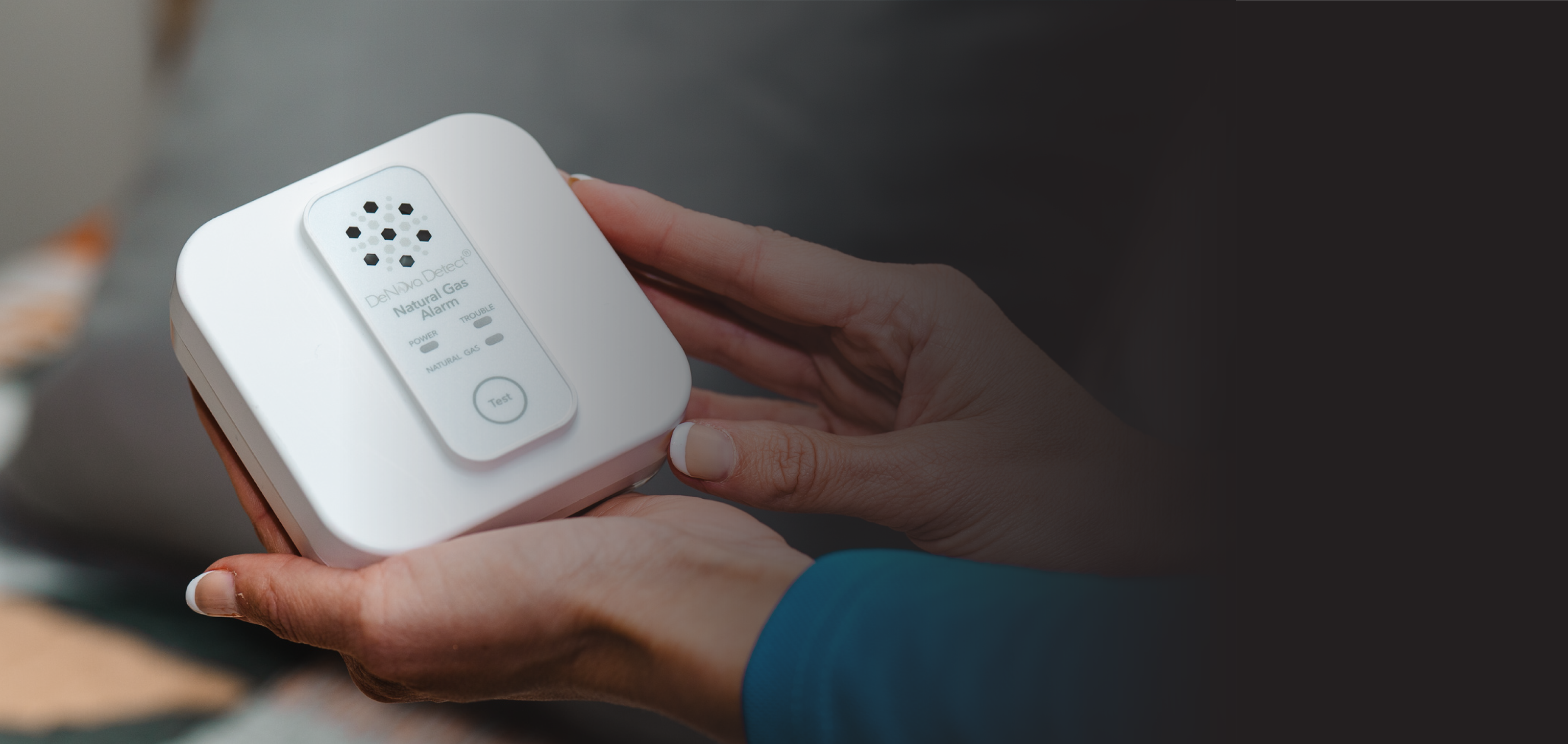 Battery-Operated Natural Gas Alarms for Home Safety | DeNova Detect